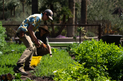 The Farm | Castle Hot Springs | Arizona Luxury Resort