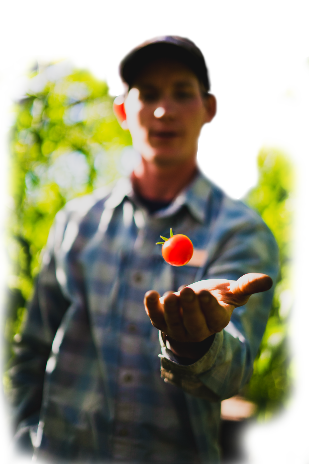 Farm to Table Dining in Arizona | Castle Hot Springs