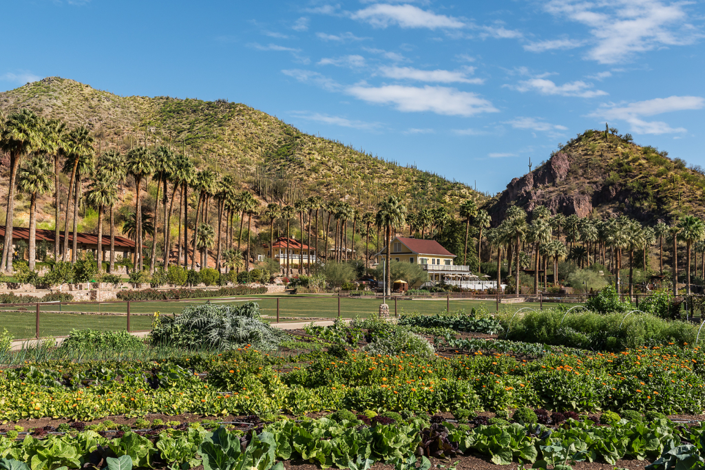 Farm to Table Dining | Castle Hot Springs