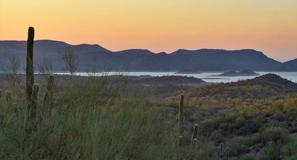 Explore the Sonoran Desert Landscape | Castle Hot Springs