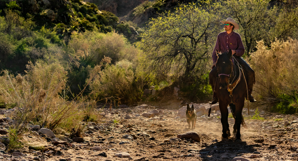 Horseback Riding in the Sonoran Desert | Castle Hot Springs