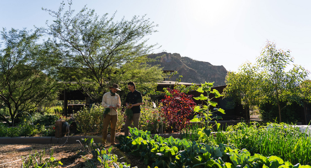 One-of-a-Kind Culinary Experiences You Can't Miss